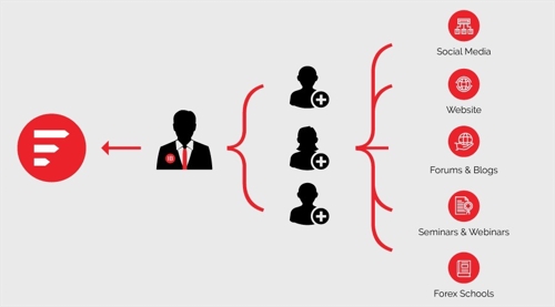 Everything You Need to Know About FxGrow’s IB Program