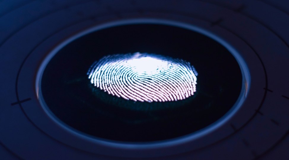 Are KYC and AML Protocols Enough to Curb Fraud?
