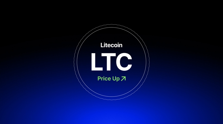 Why Litecoin is Going Up: LTC Leads Market Gains with 11% Jump