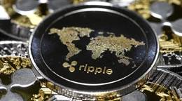 Can the Ripple IPO Succeed?