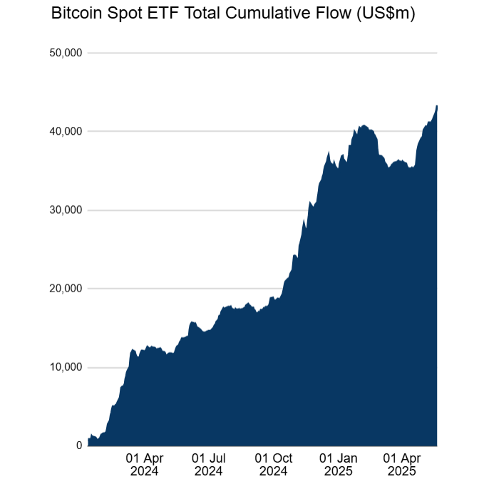 Why Is Bitcoin Going Up? BTC Price Hits New Record High Above $111,000 ...