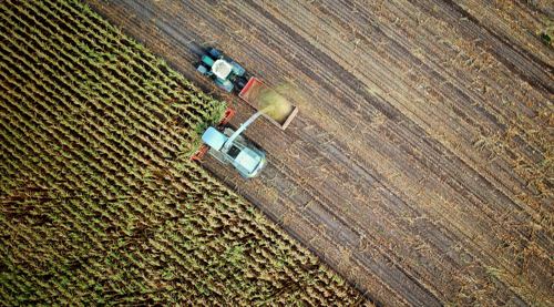 Fintech in Agriculture: How Digital Platforms are Empowering Farmers