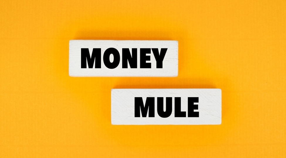 Singapore Blocks “Money Mules” From Banking After Victims Lost $456M in ...